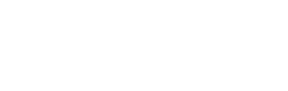2026 Navy SEAL Foundation's SIG Sauer - Campaign