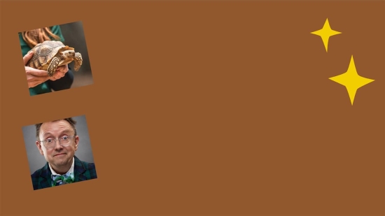 Once Upon A Canyon Night - Family Night - Campaign