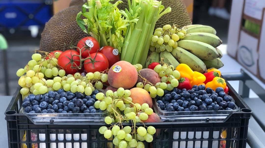 Share the Abundance Year Round with Food Forward - Campaign