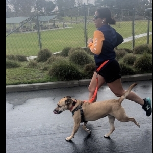 Tracy Mora's fundraising page for Angel City Pit Bulls