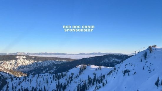 Red Dog Chair Sponsorship Tickets