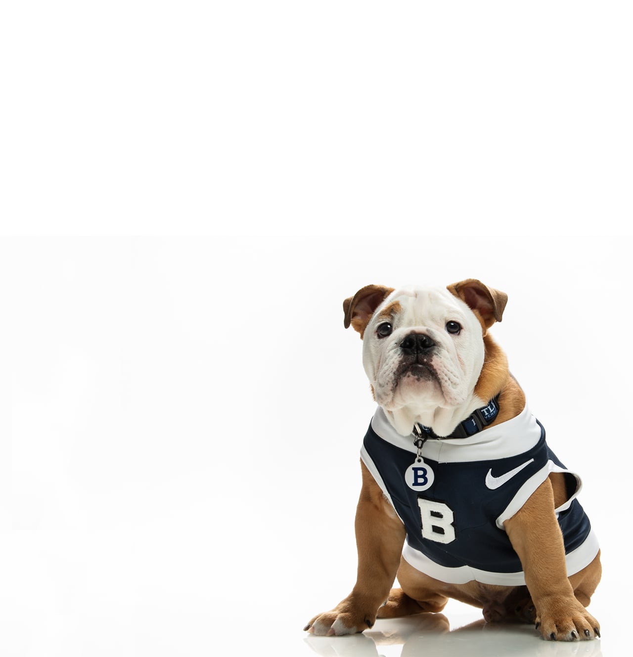 Donate to Butler University Mascot Fund