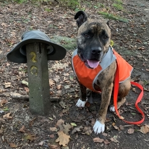 Sam Runyon (aka, the Old Dude)'s fundraising page for Veterans ...