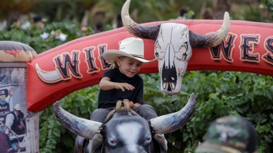 2024 WOW Fest - Campaign