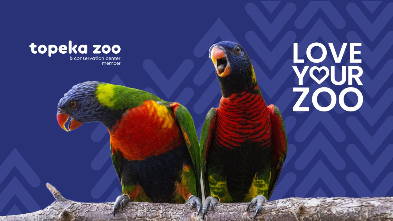 Love Your Topeka Zoo Giving Day - Campaign