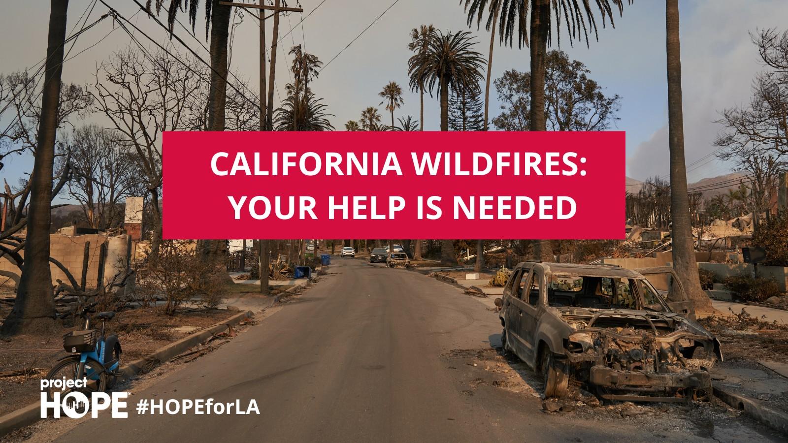 Donate to California Wildfire Response - Standard Motor Products