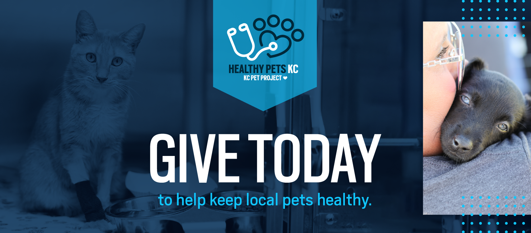 Donate to Healthy Pets KC Giving Tuesday 2022