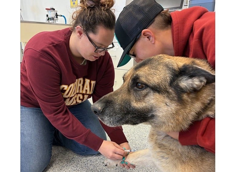 Donate to Protect our Vet Techs from Rabies