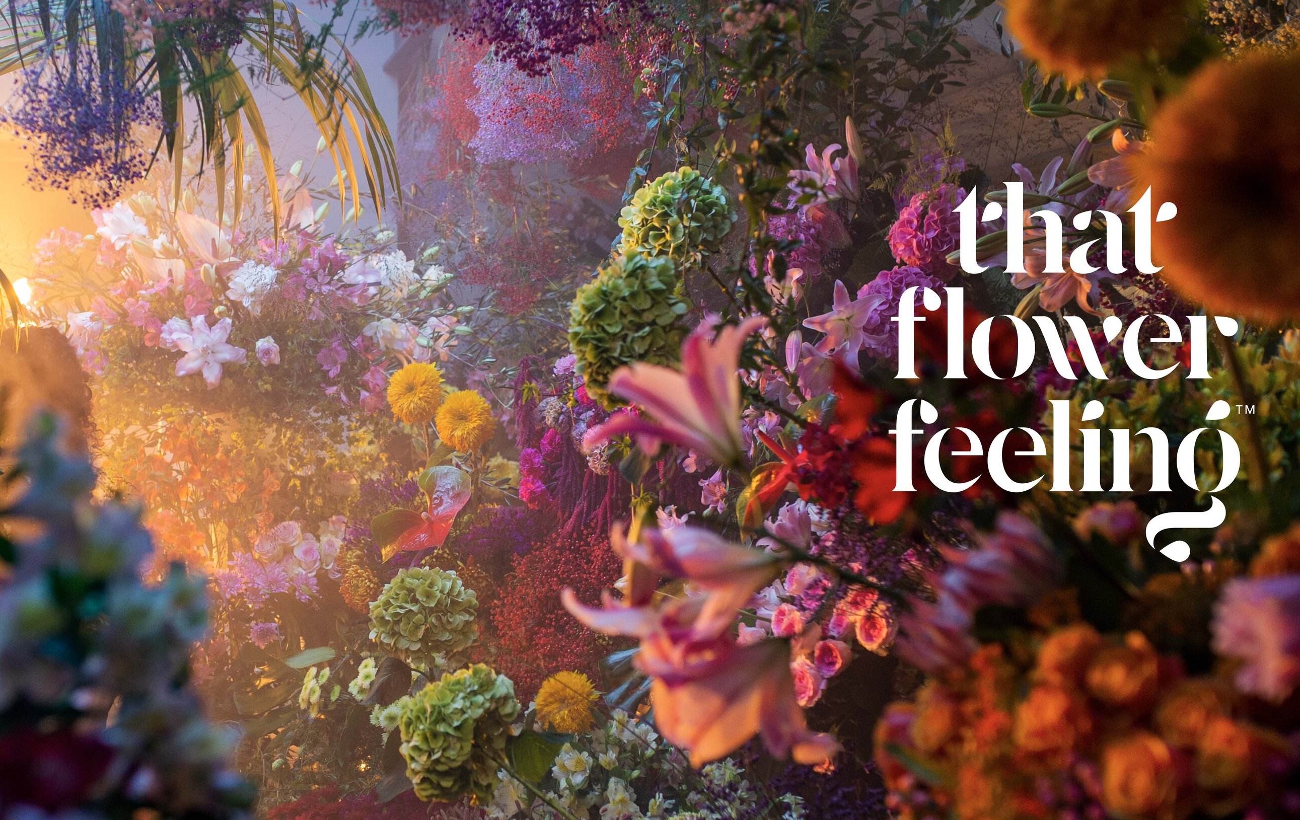 Vanessa Leite - That Flower Feeling