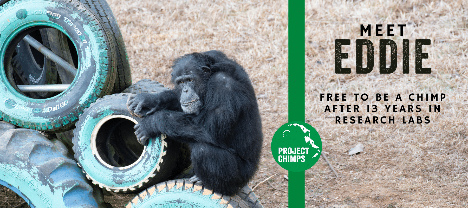Donate to Project Chimps Donations