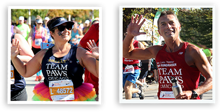 TEAM PAWS Chicago Bank of America Chicago Marathon 2025 - Campaign