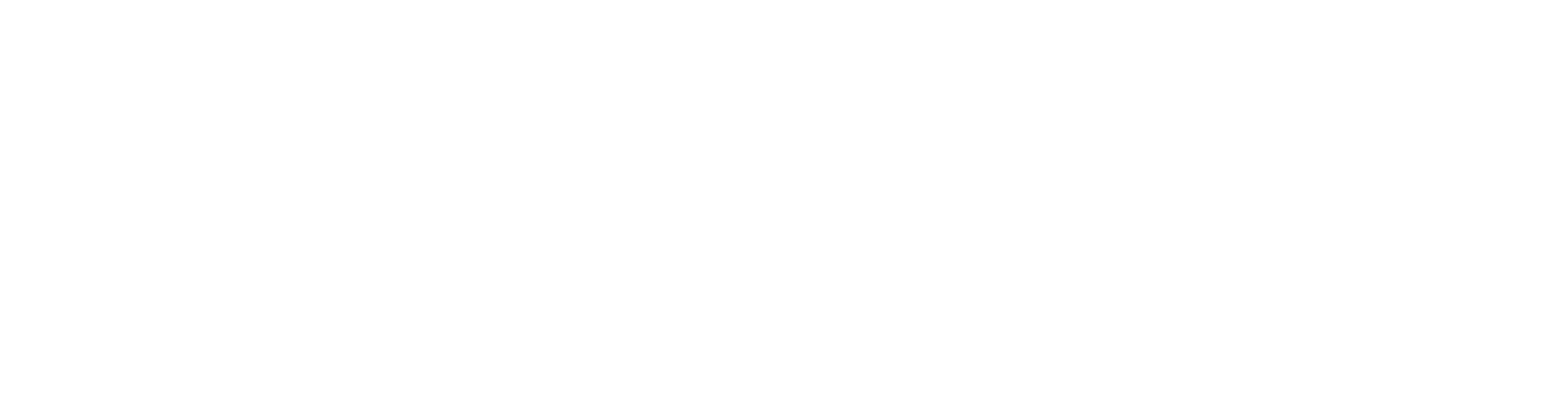 TEAM PAWS Chicago TCS New York City Marathon 2025 - Campaign