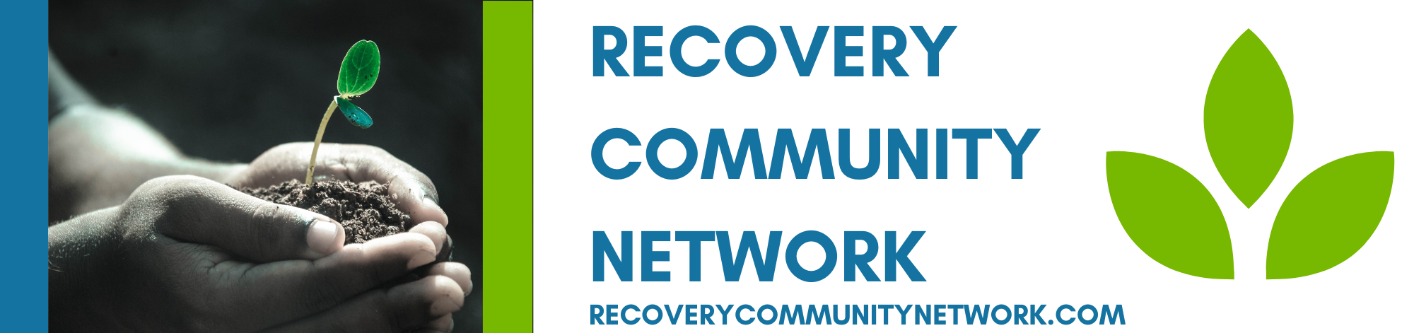 2025 Rockin' Recovery in the Park - Campaign