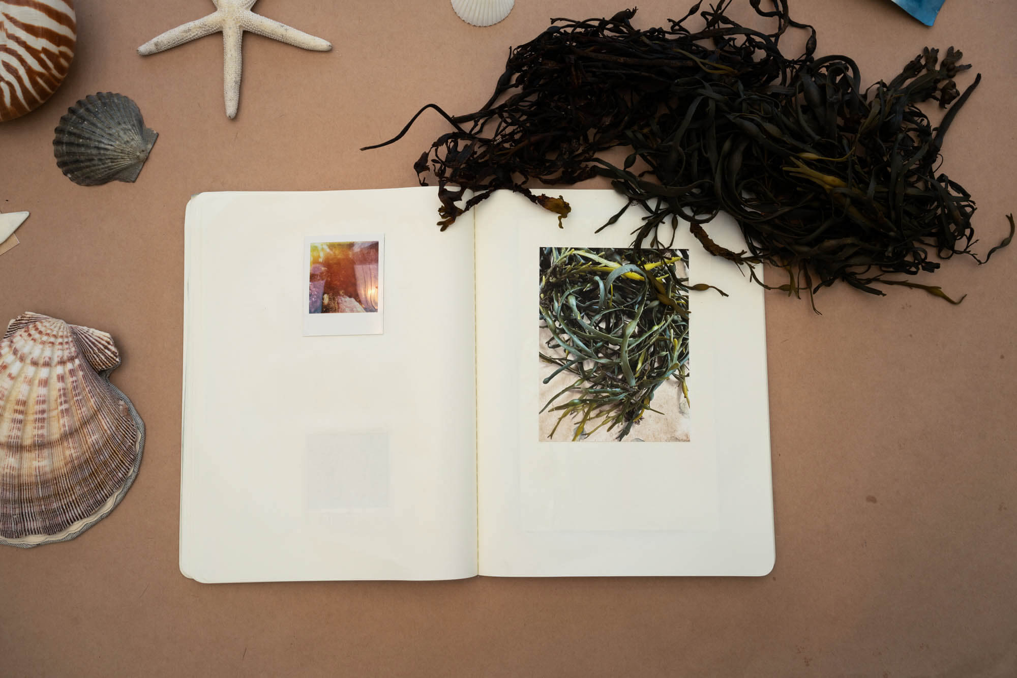 Handmade and Small Edition Books with Barbara Bosworth and Emily ...