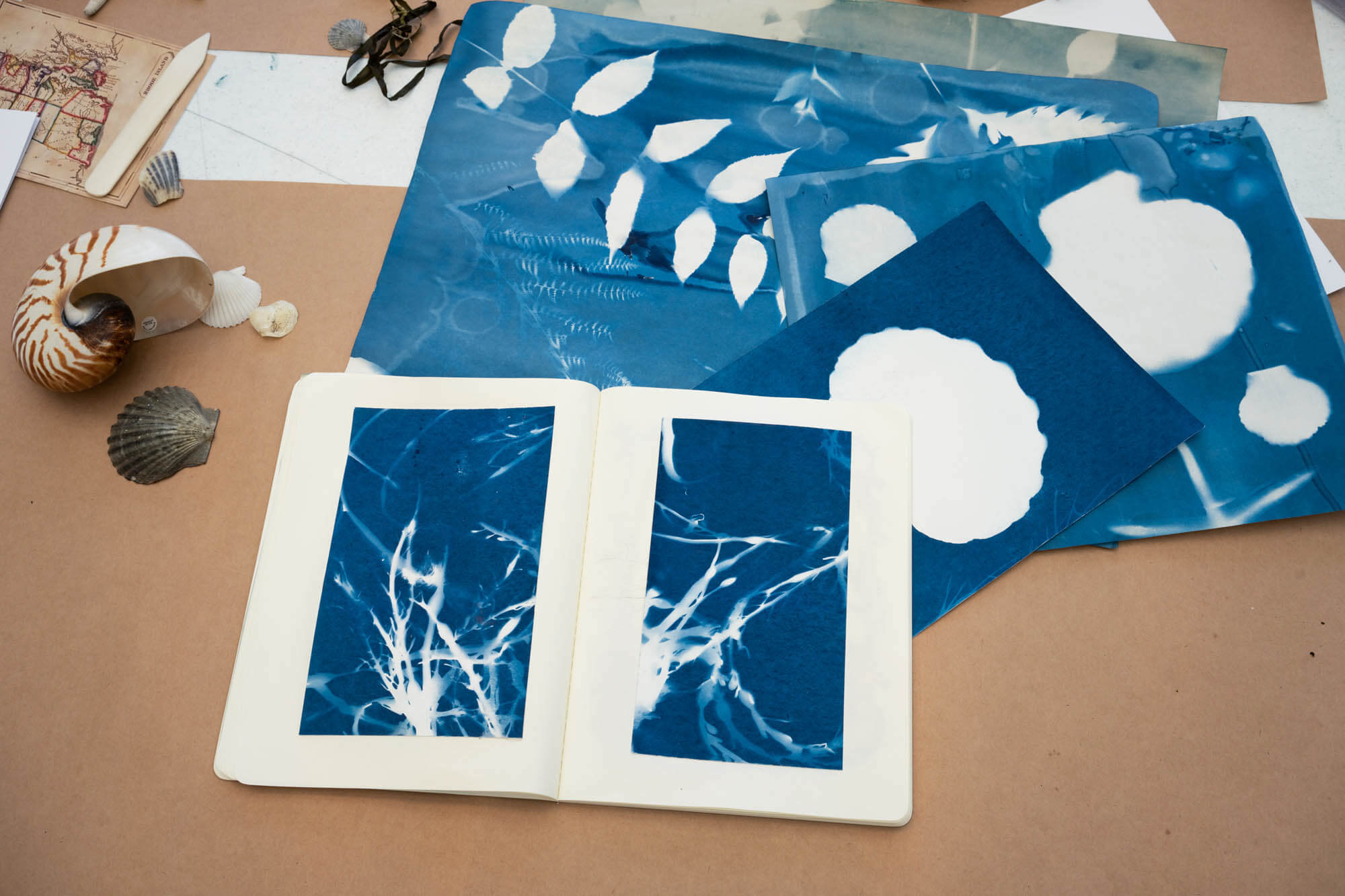 Handmade and Small Edition Books with Barbara Bosworth and Emily ...
