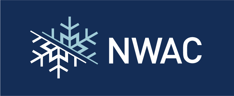 NSAW 2025 - Campaign
