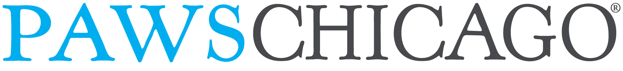 TEAM PAWS Chicago Bank of America Chicago Marathon 2025 - Campaign