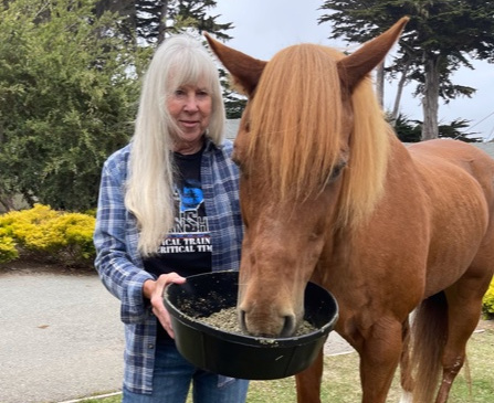 Celebration of Philanthropy - Campaign