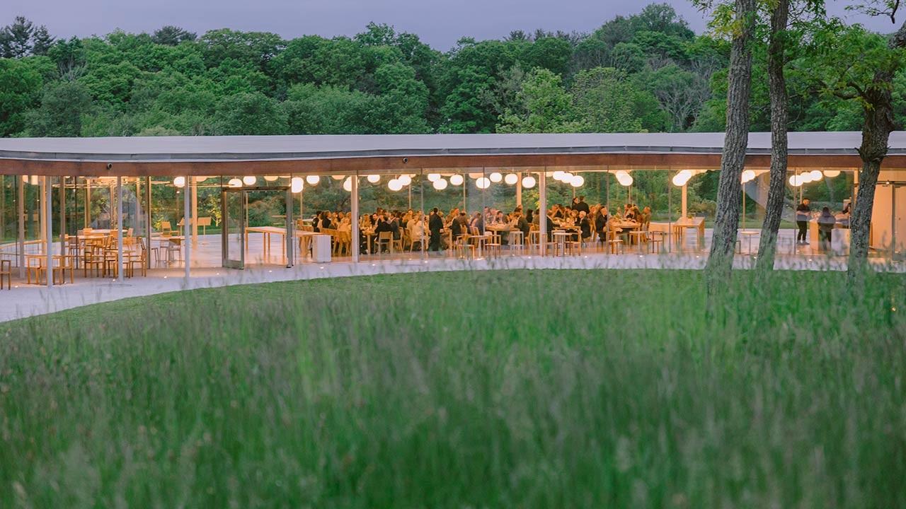 Dinner with a Purpose featuring Indré Rockefeller - Campaign