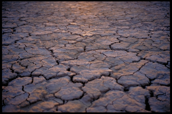 Donate to Burning Man Project