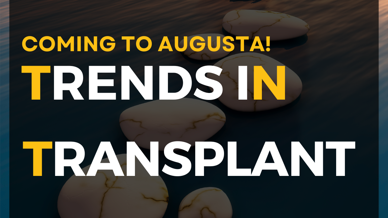 Atlanta TNT - Campaign