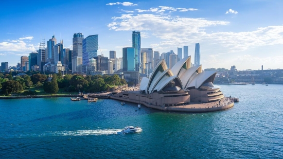 TEAM PAWS Chicago TCS Sydney Marathon 2026 - Campaign