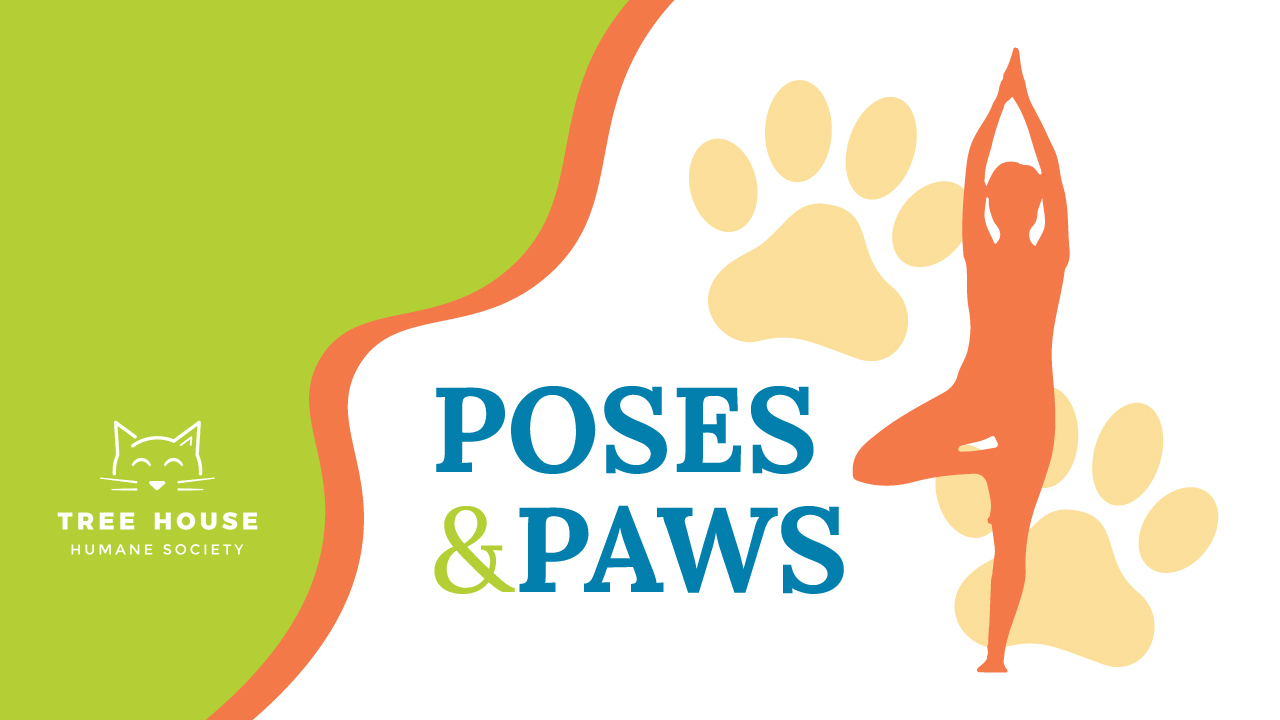 Poses and Paws - Campaign