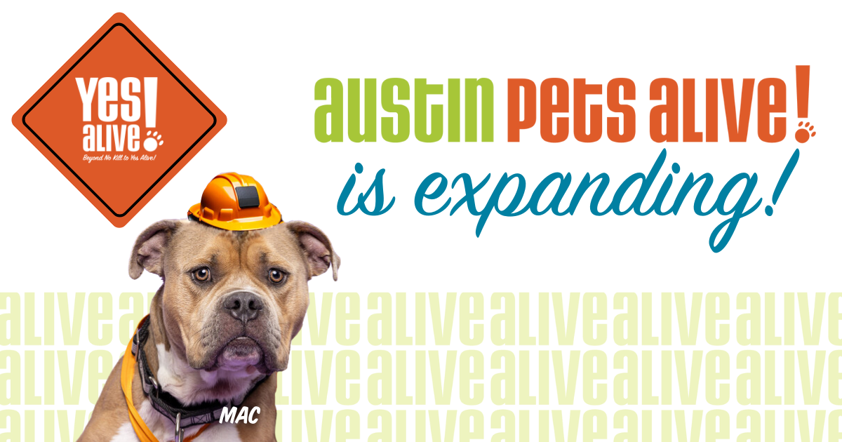 Donate to Yes Alive! 2024