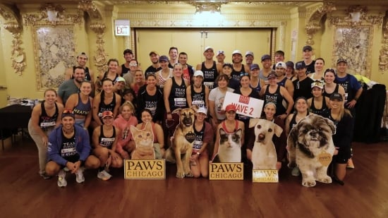TEAM PAWS Chicago Bank of America Chicago Marathon 2026 - Campaign