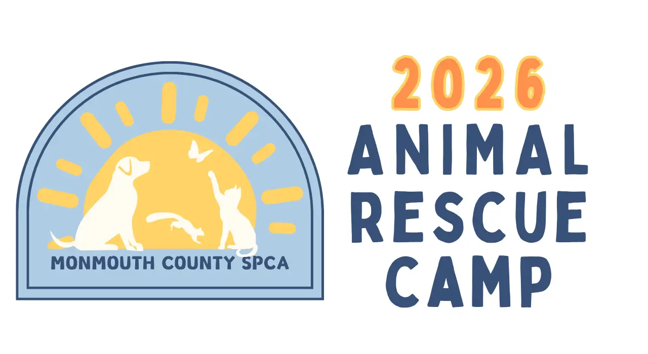 Animal Rescue Summer Camp 2026 - Campaign