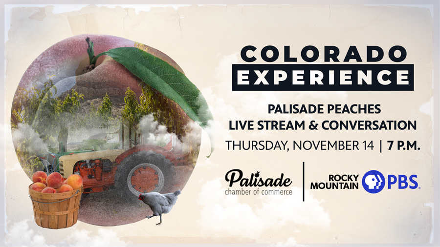 Colorado Experience: Palisade Peaches Live Stream & Conversation - Campaign
