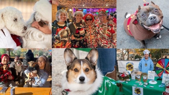 8th Annual Jingle Bell Pup Crawl - Campaign