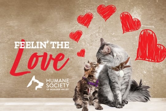 Donate to Humane Society of Boulder Valley Support