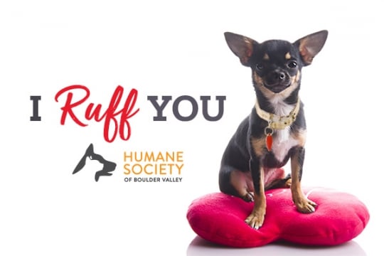 Donate to Humane Society of Boulder Valley Support