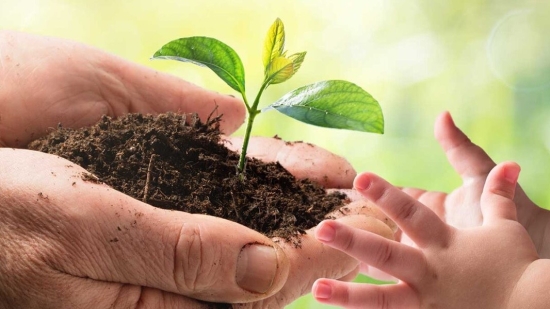 Fall Giving Campaign NCF - Campaign