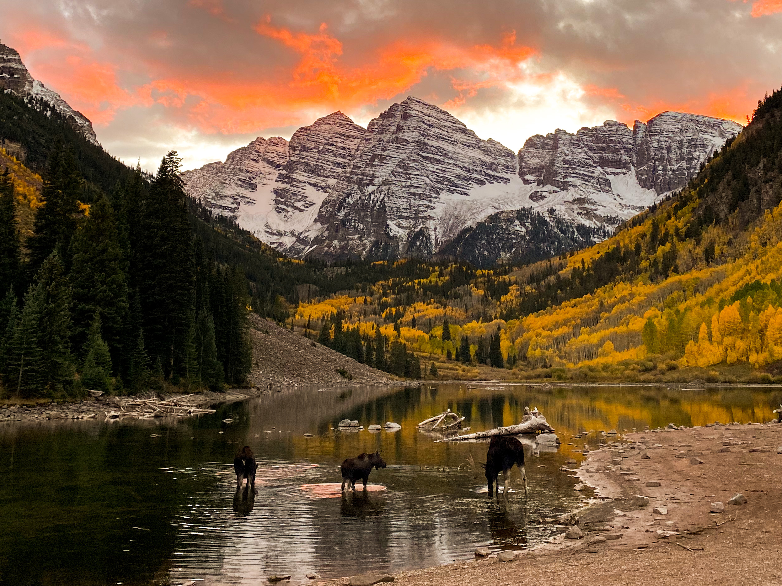 Winter Words 2026 Virtual Pass - Campaign