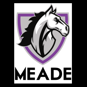 kyndel townsend's fundraising page for Special Olympics Maryland