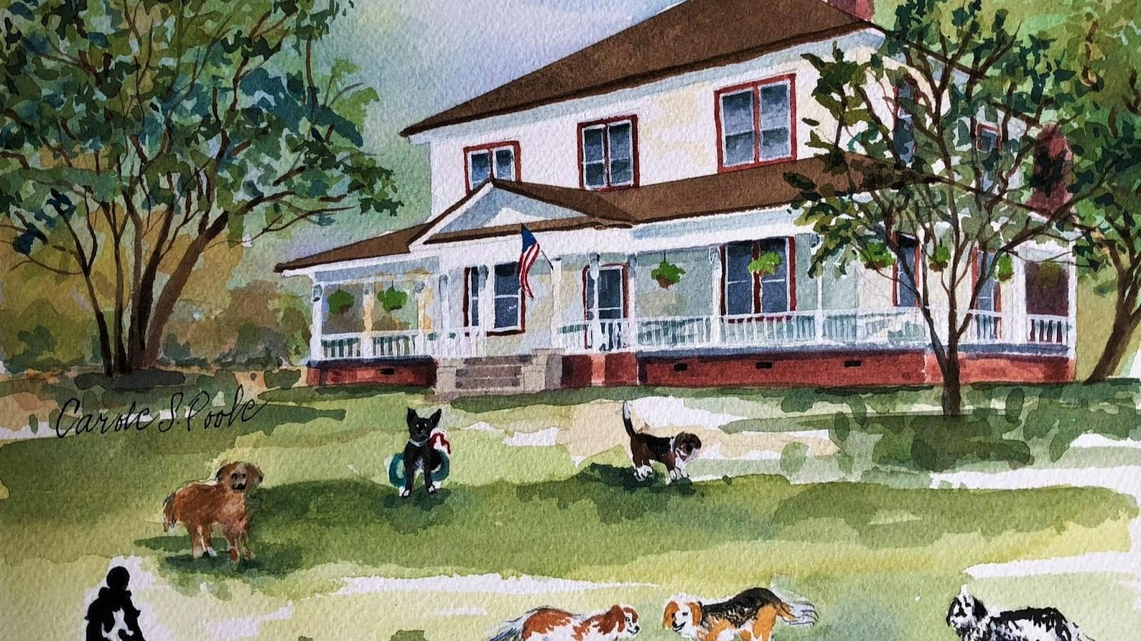 Sponsor Max - Campaign