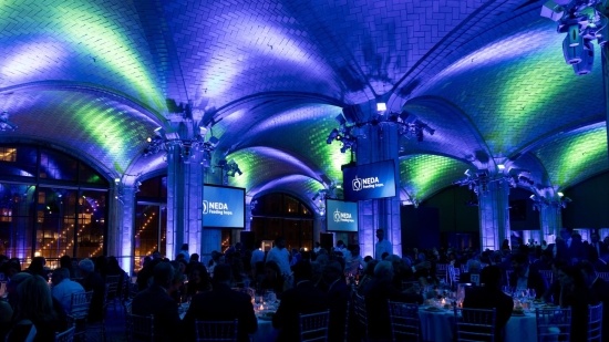 NEDA 2024 Gala - Campaign