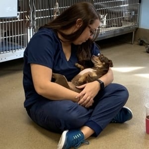 Danielle Rullo's fundraising page for Monmouth County SPCA