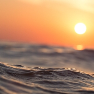 Nick Scanlon's fundraising page for Special Olympics Maryland