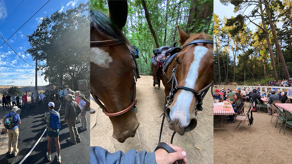 Jennifer Holly's fundraising page for Bay Area Ridge Trail Council