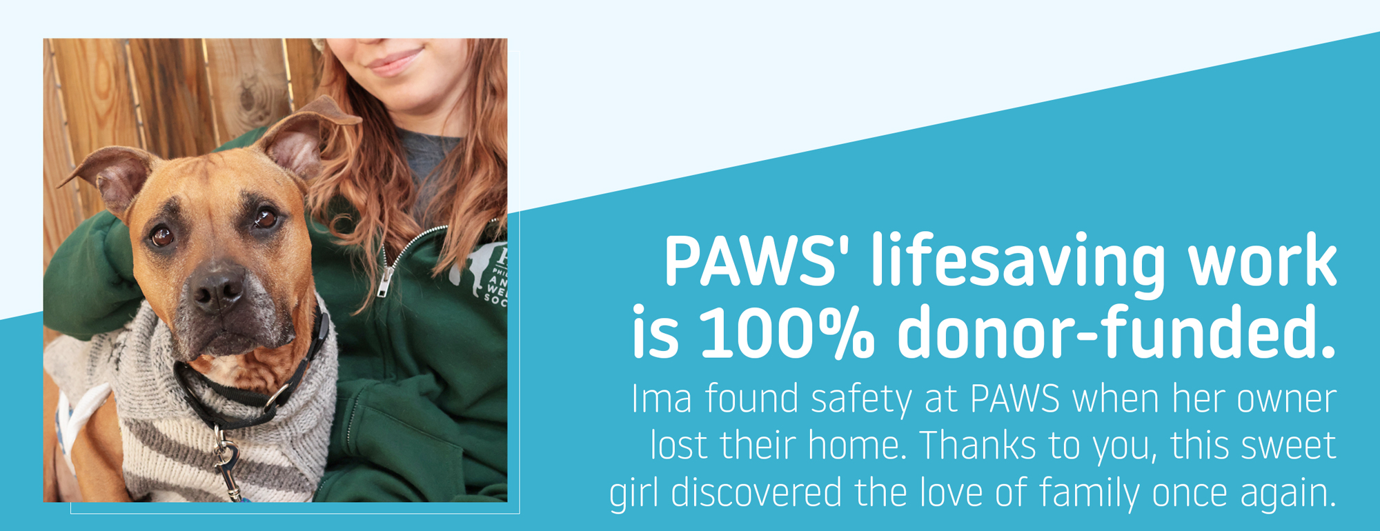 Donate to PAWS' 2024 Year End Giving Campaign