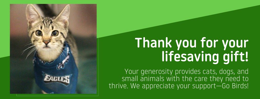 Donate to PAWS: Philadelphia Animal Welfare Society (GO BIRDS!)
