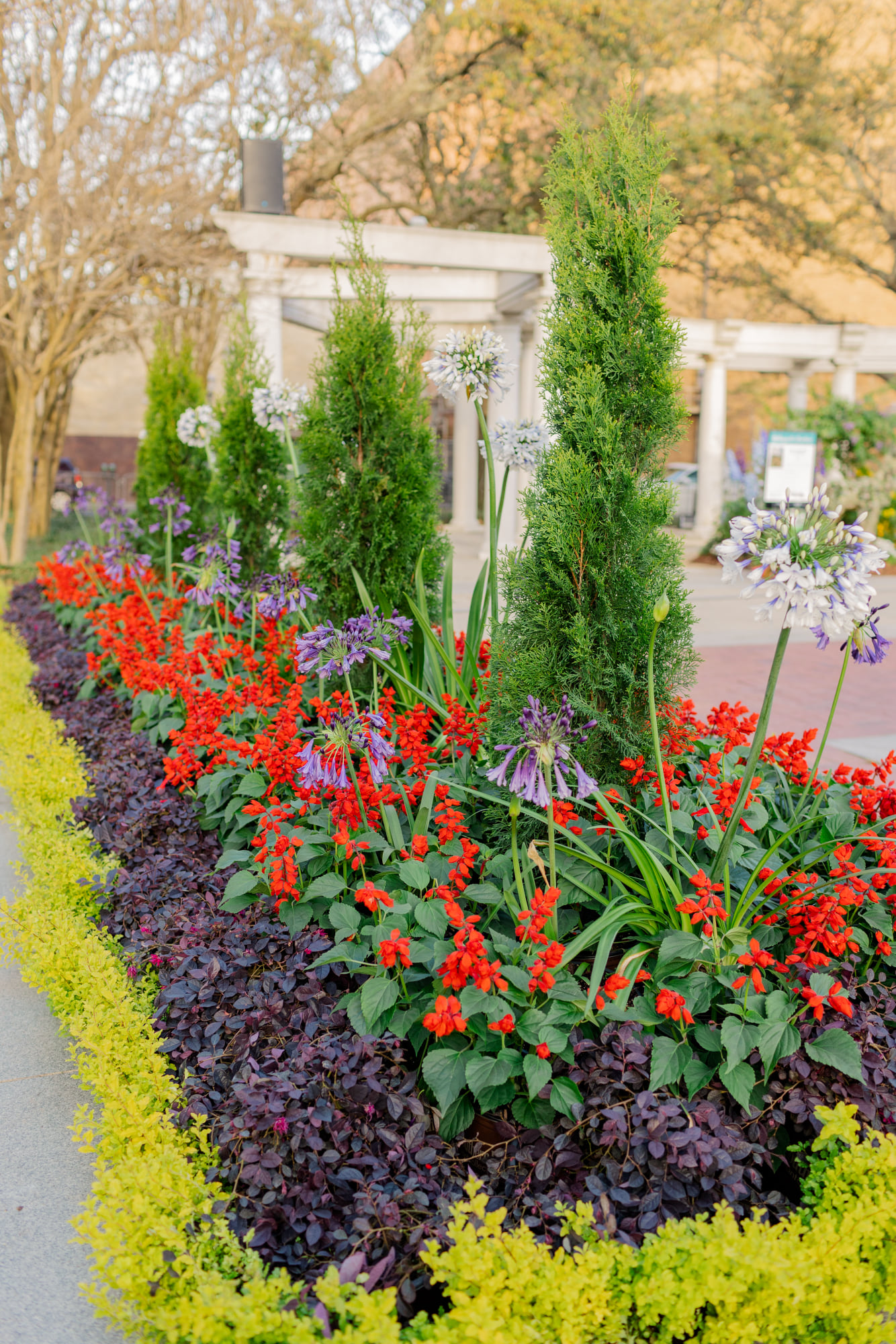 2024 Festival of Flowers Voting - Campaign