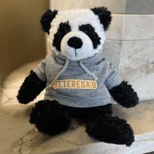 Paula Schweiger Holmquist's fundraising page for St. Teresa's Academy