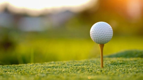17th Annual Czerkies Memorial Golf Outing - Campaign