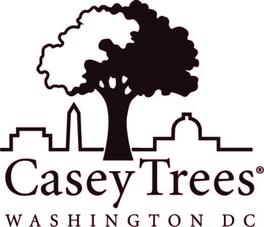Donate to Casey Trees