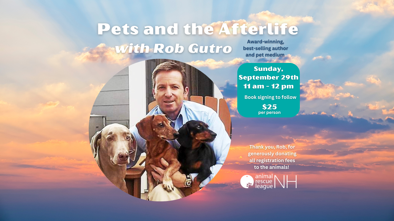 Pets and the Afterlife with Rob Gutro - Campaign
