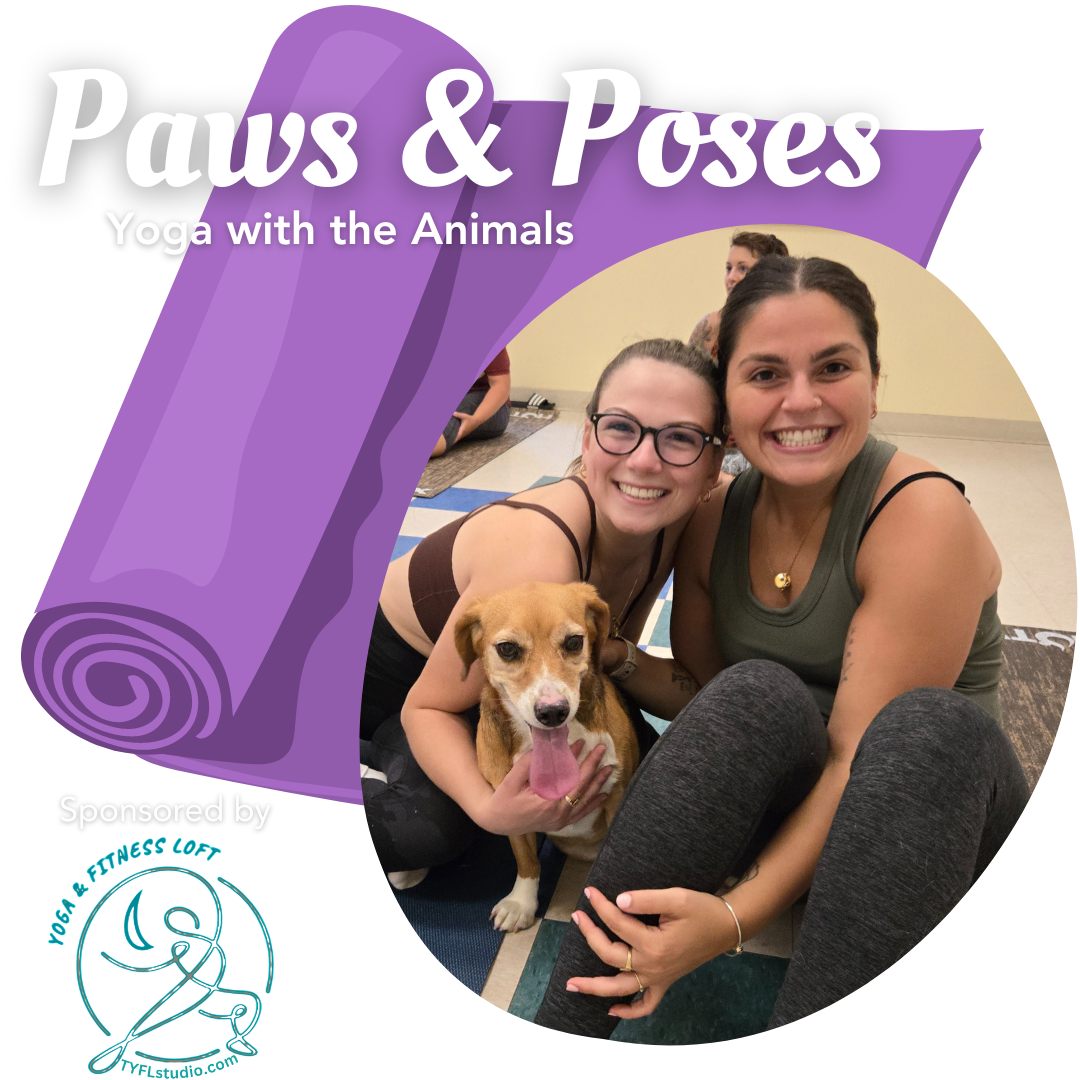 Paws and Poses Yoga with the Animals - Campaign